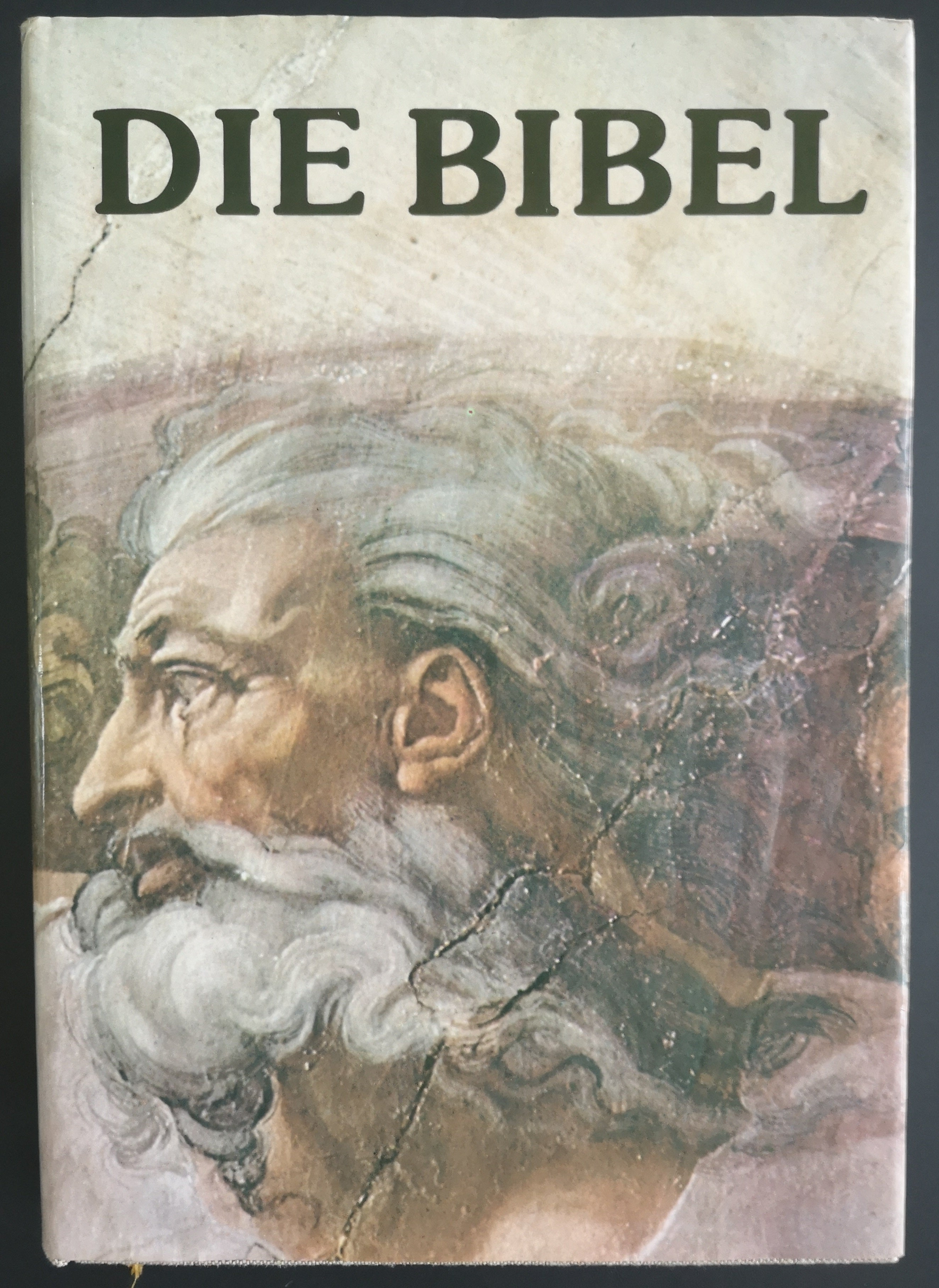 Die Bibel - Die heilige Schrift des alten und neuen Bundes – Sammelwunder